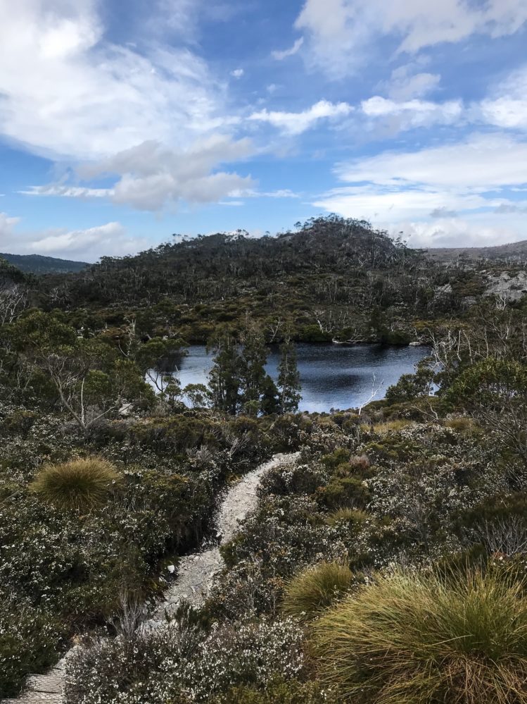 Que faire en Australie ? Mes 5 coups de cœur nature - Lily the Nomad